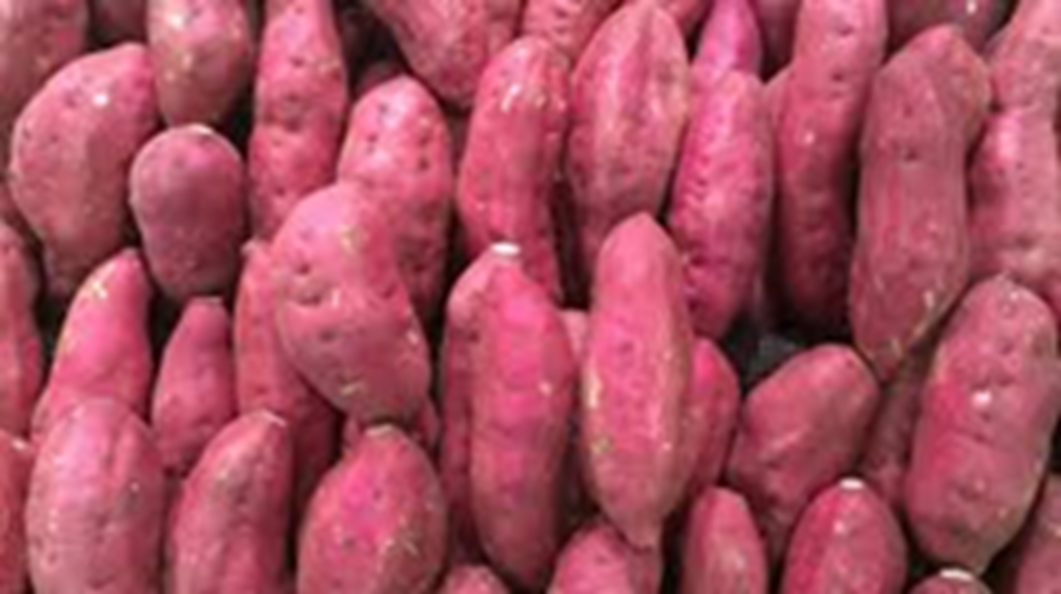 Sweet Potato Health Risk: Are you eating sweet potatoes laced with ...